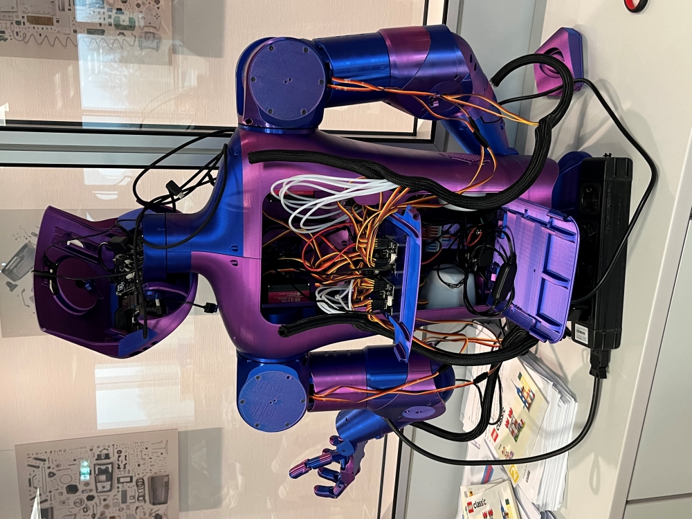 Micro-Bit, große Wirkung – Ein Tag voller Technik und Kreativität